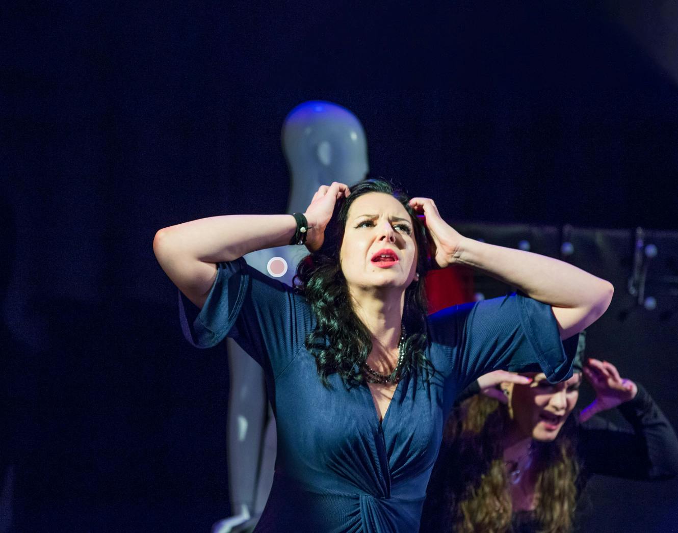 Rogue Opera Event - The Barnsdale hotel