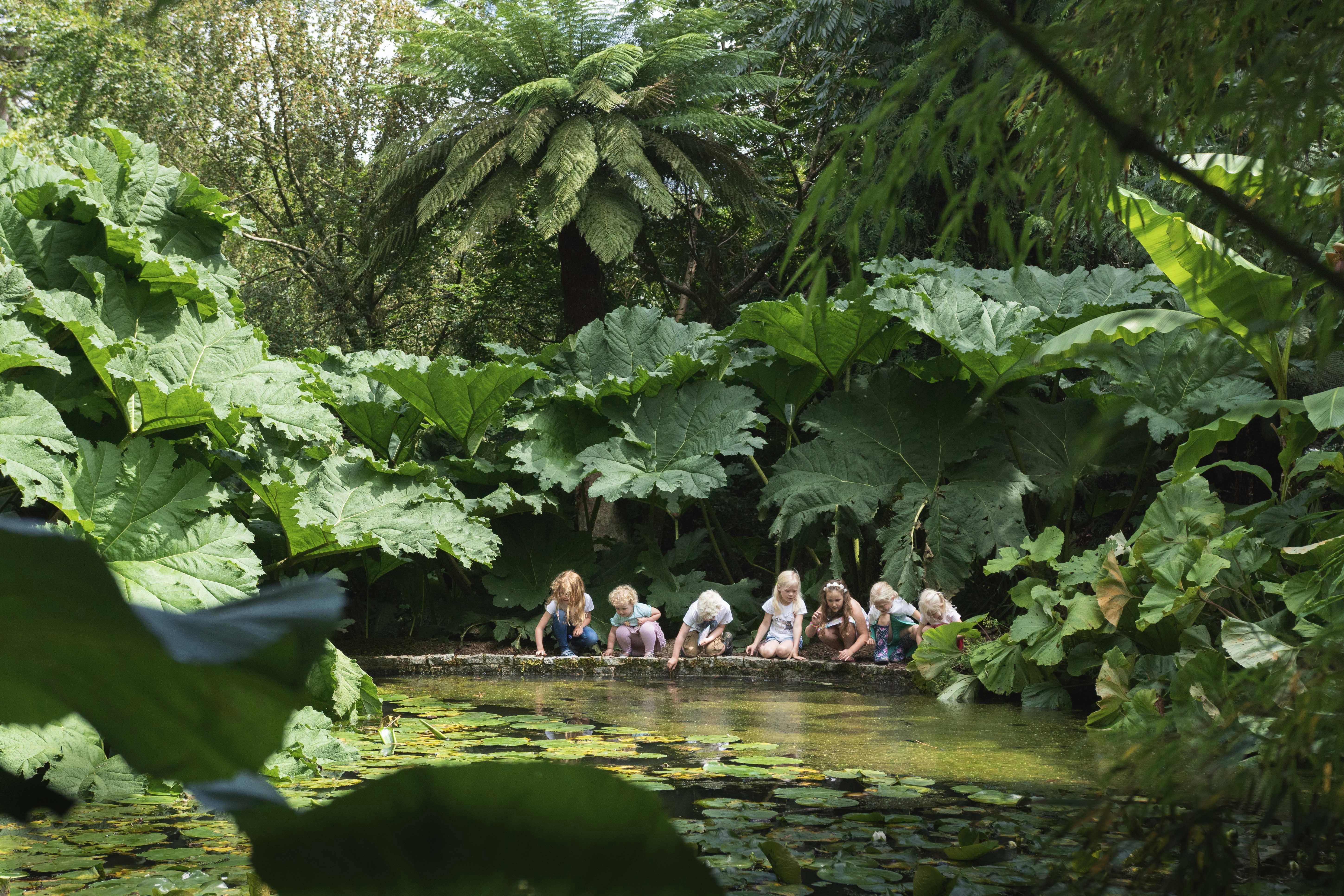 Discover the Lost Gardens of Heligan - The Esplanade Hotel