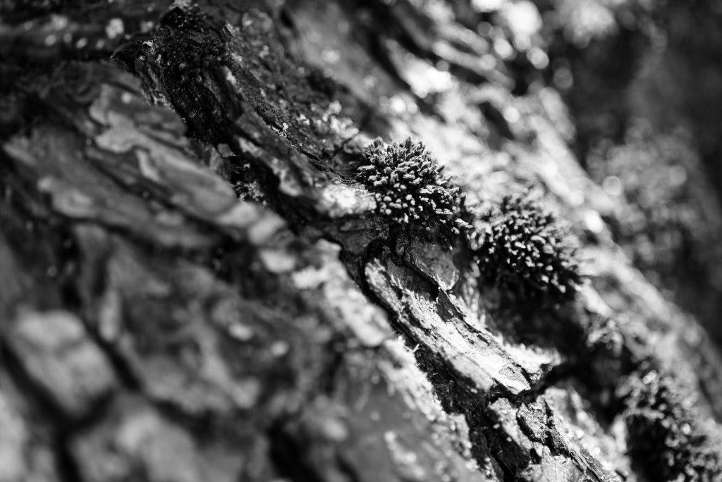 Luxury With Purpose | Middle Eight Covent Garden