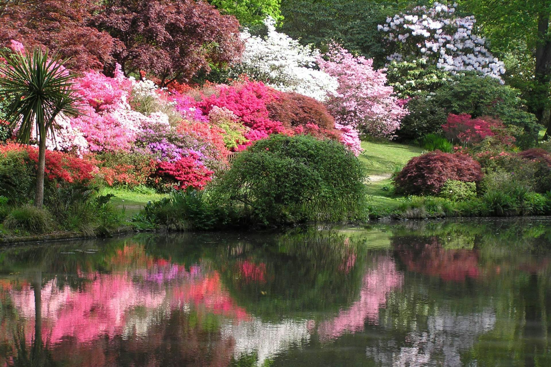 Must-See Hampshire Gardens - The Montagu Arms