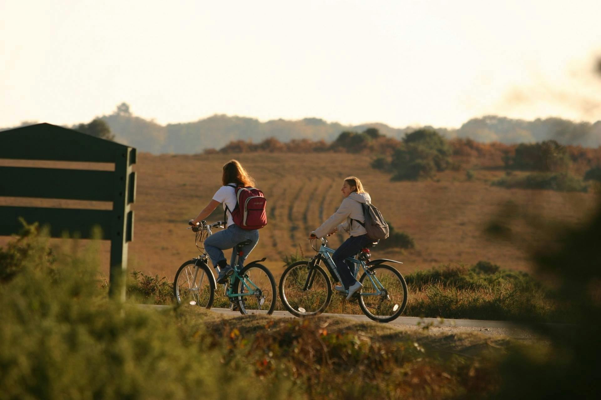 Top 5 Cycle Routes In The New Forest - The Montagu Arms