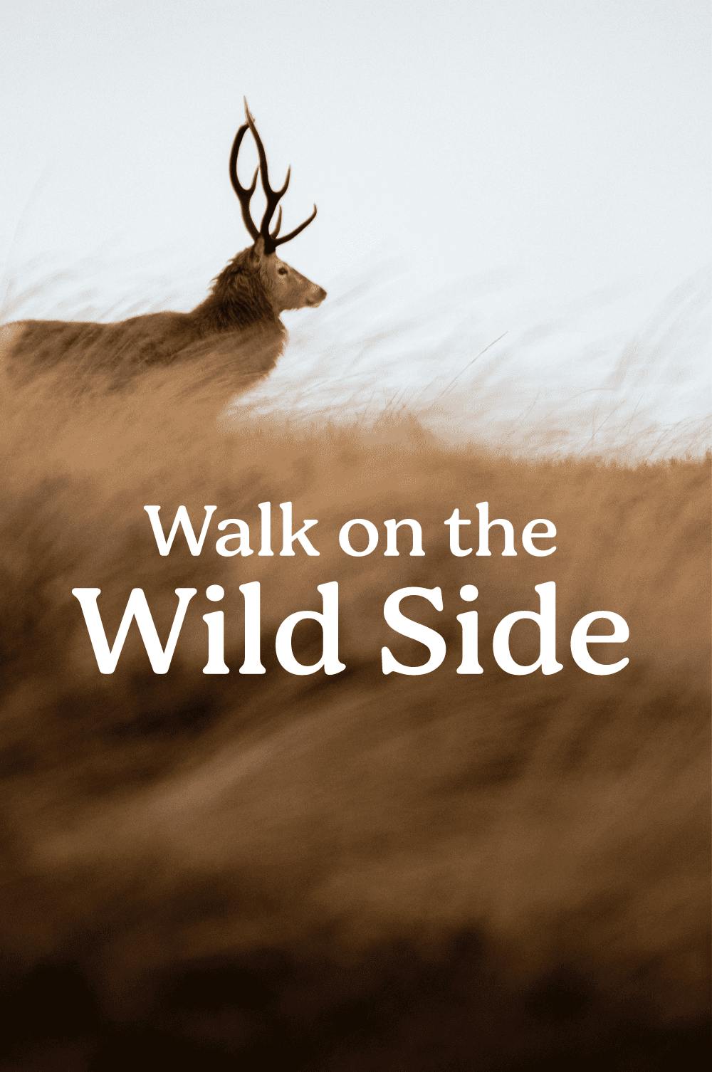 Luxury Countryside Hotels Collection | PoB Hotels