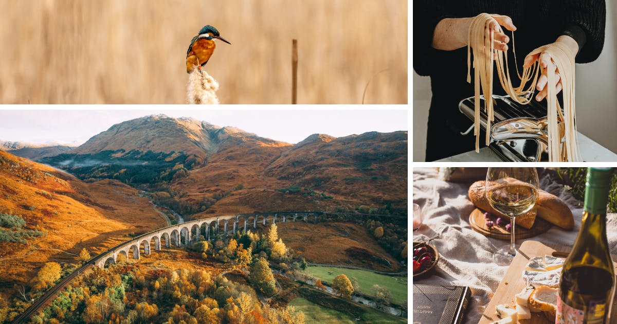 The Handle Travel Blog | PoB Hotels