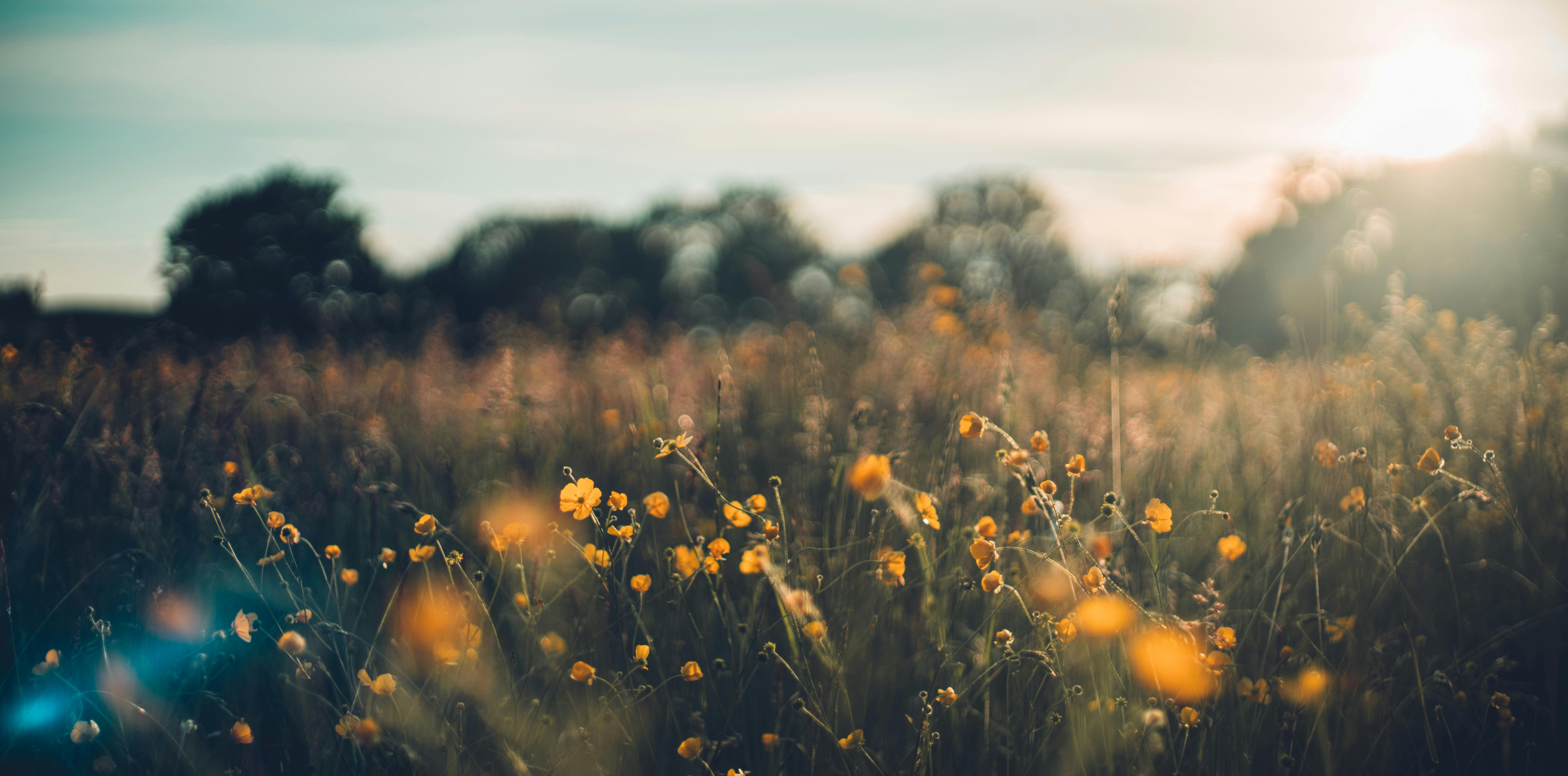 Easter Escapes: 8 Amazing Weekend Breaks In The UK | PoB Hotels