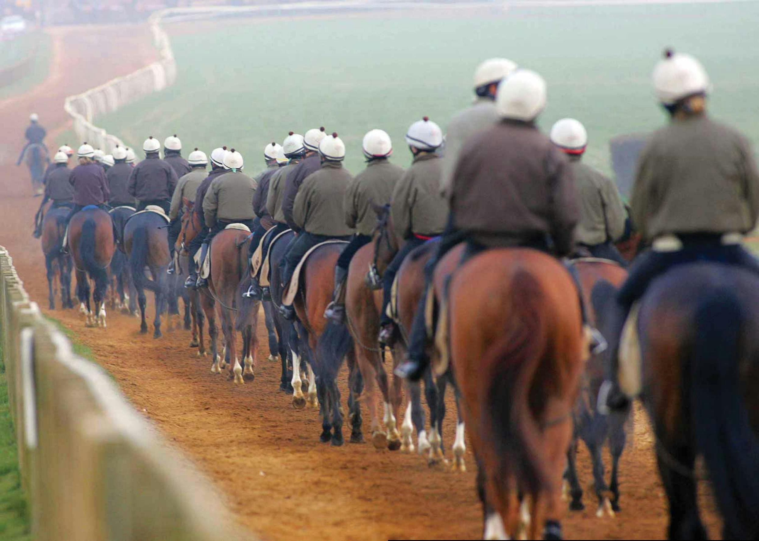 Have A Flutter: Top Destinations For Racing Buffs | PoB Hotels