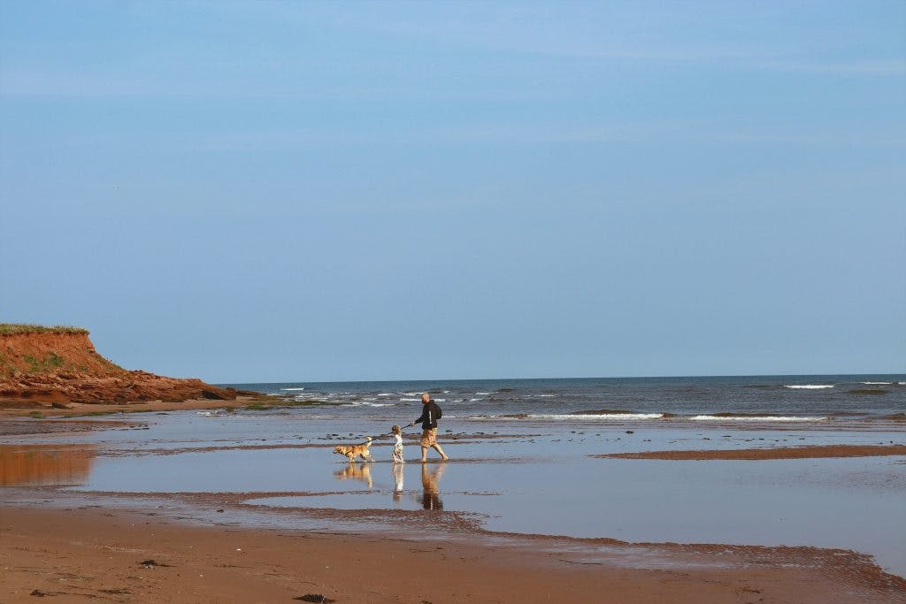 10 Family Road Trips Across The UK For Scenic, Easy Adventure | PoB Hotels
