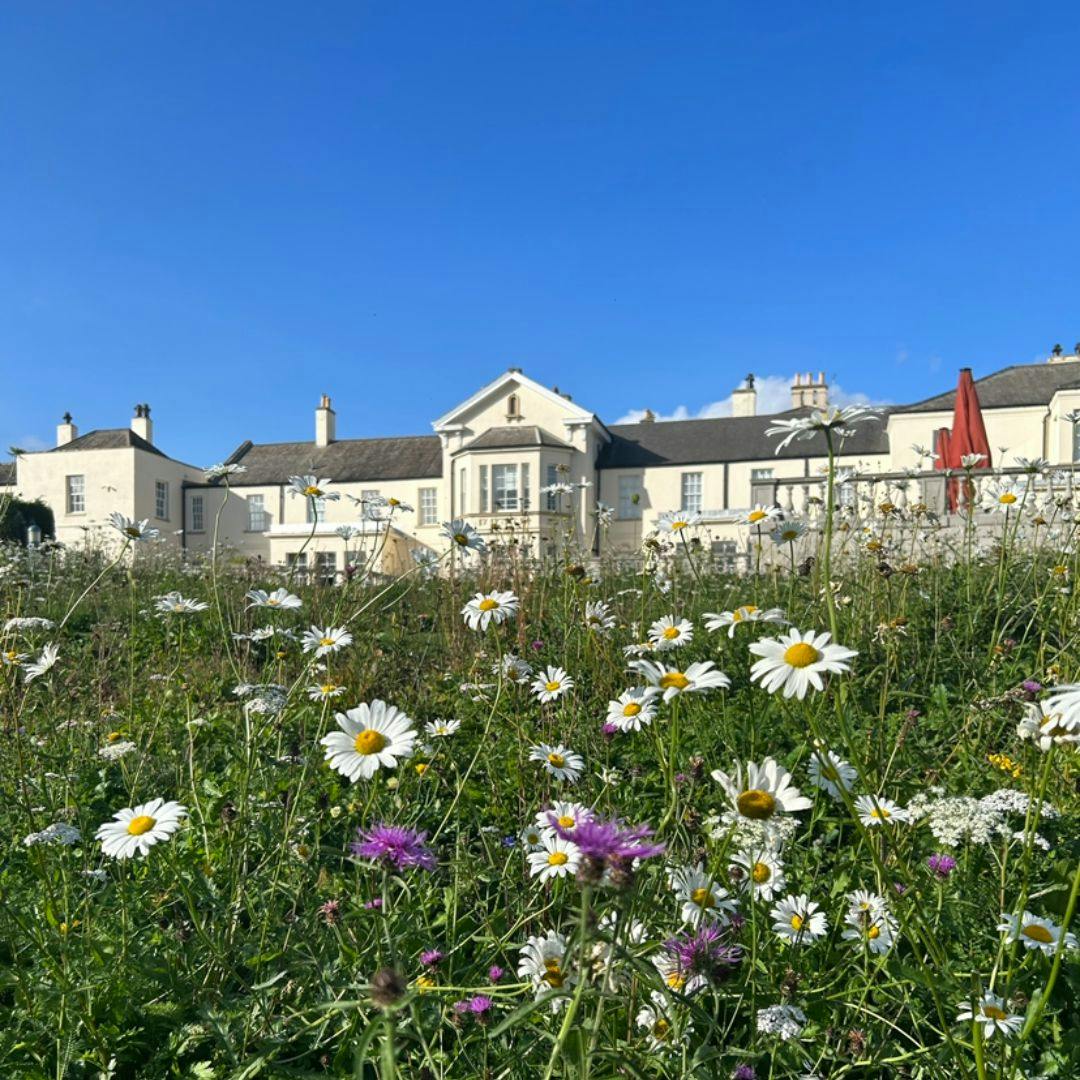 Sustainable Luxury: Our Commitment to a Greener Future at Seaham Hall ...