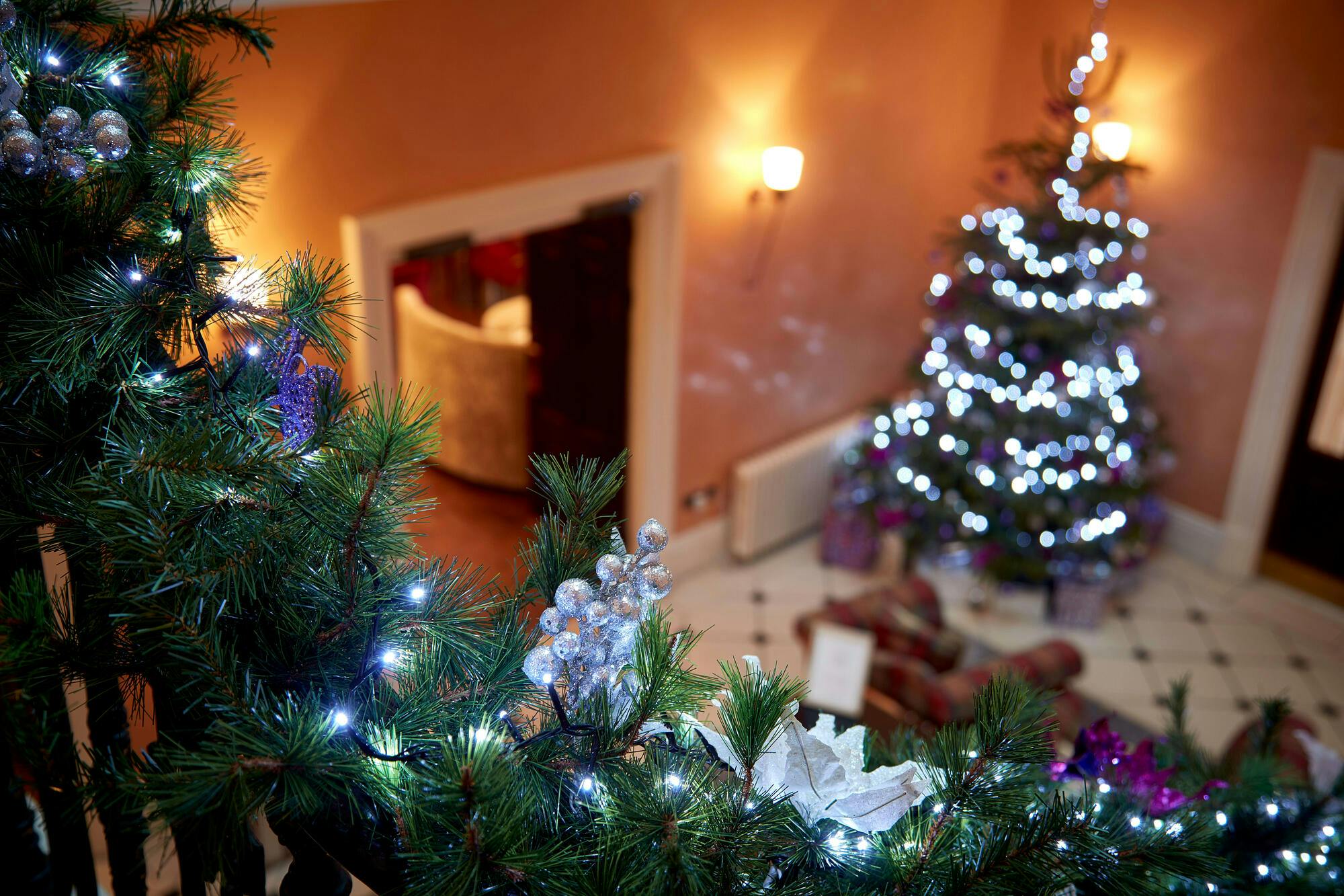 Christmas at Seaham Hall - Seaham Hall