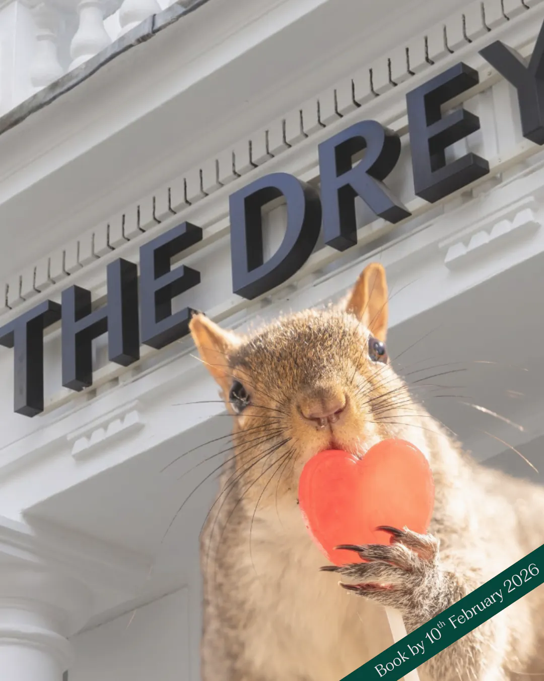 The Drey | Eco Hotel in Earl's Court, London