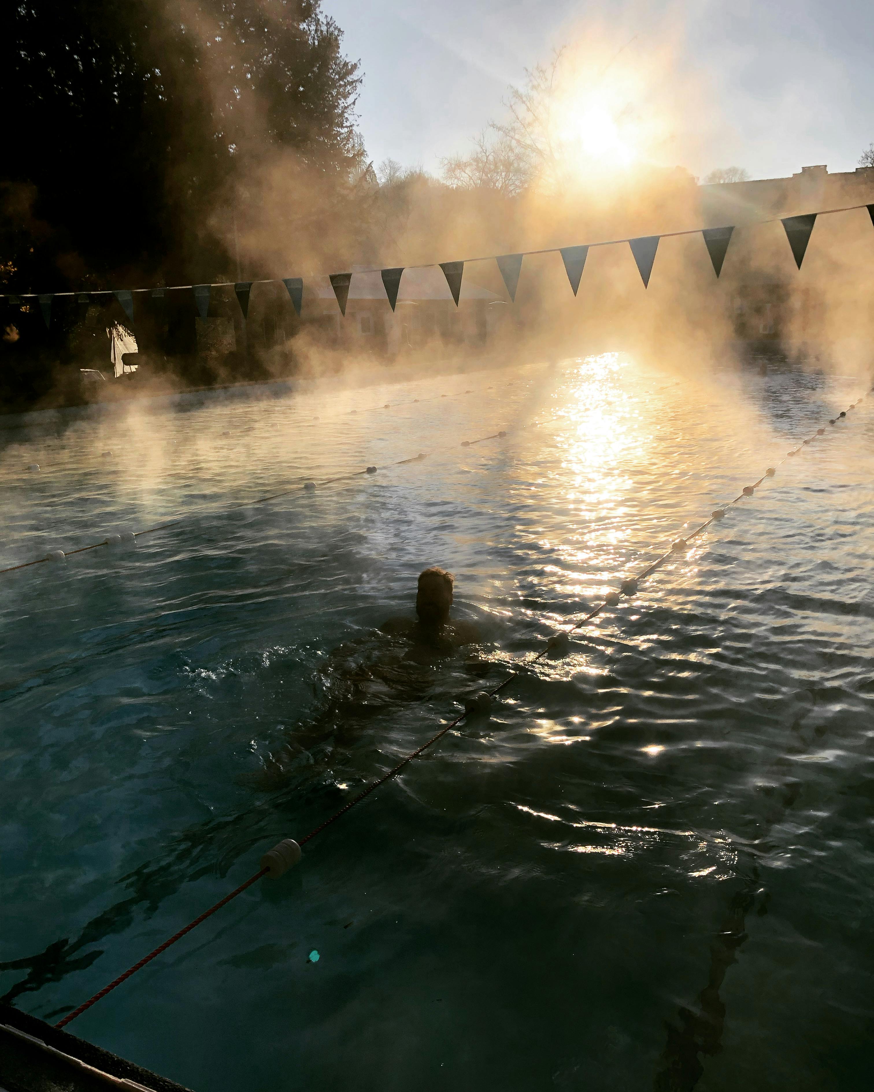 Meet the Team - Micky - Wildhive